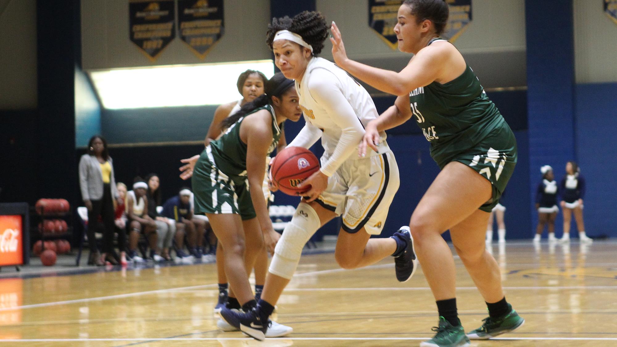 Ravyn Johnson - 2019-20 - Women's Basketball - Averett University Athletics