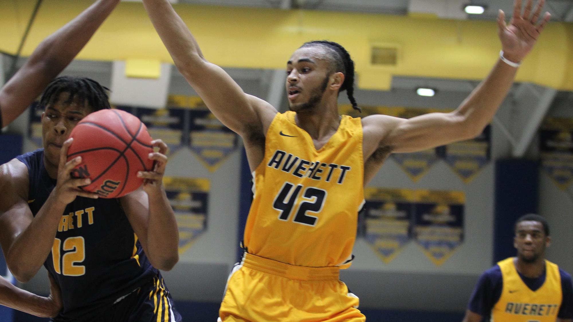 Nigel Houston - 2020-21 - Men's Basketball - Averett University Athletics