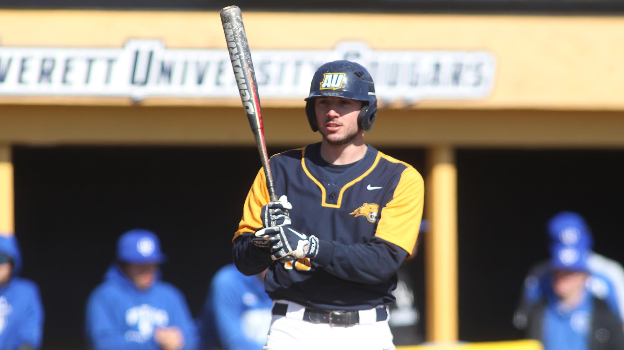 Zack DeCarlo - 2020 - Baseball - Averett University Athletics