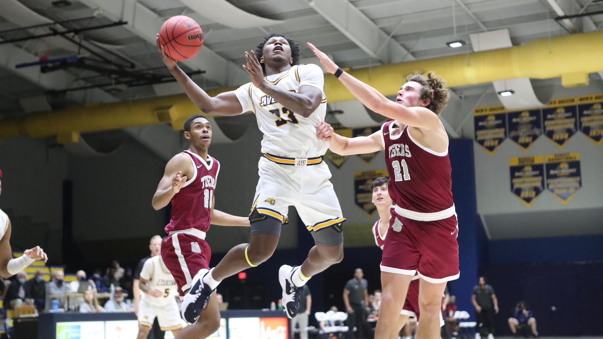 Bryson McLaughlin - 2022-23 - Men's Basketball - Averett University ...