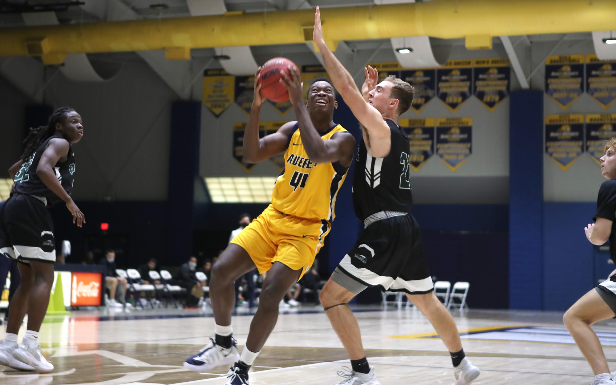 Fermin Borbua-Watson - 2023-24 - Men's Basketball - Averett University ...