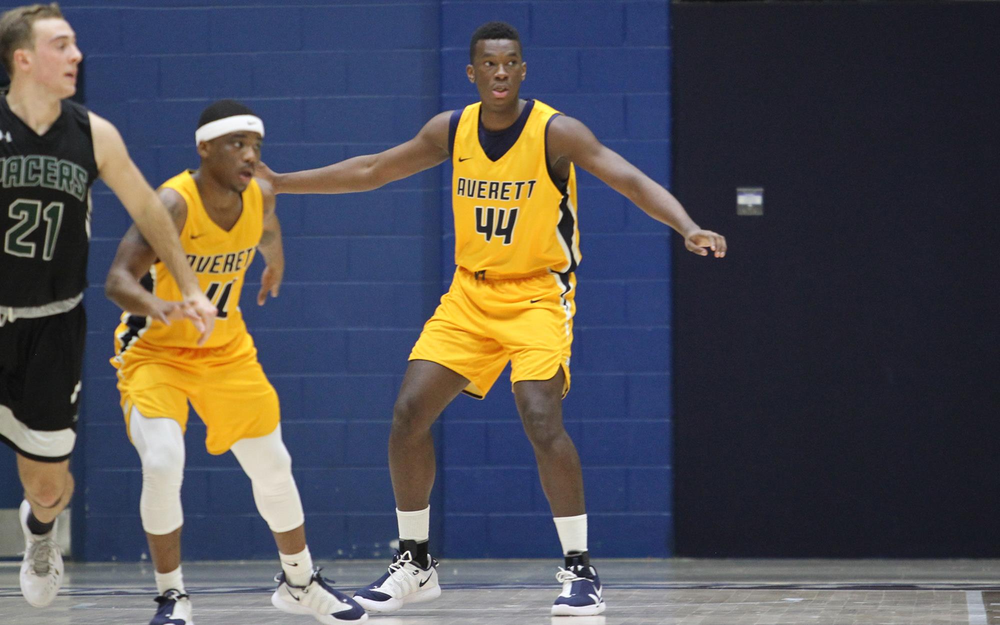 Fermin Borbua-Watson - 2023-24 - Men's Basketball - Averett University ...