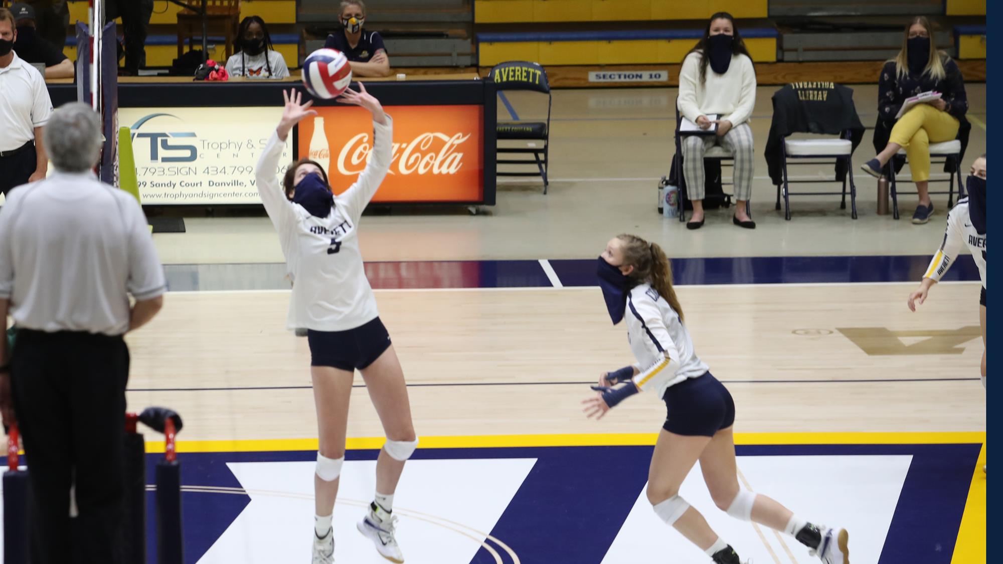 Lanie Ouzts - 2020 - Women's Volleyball - Averett University Athletics