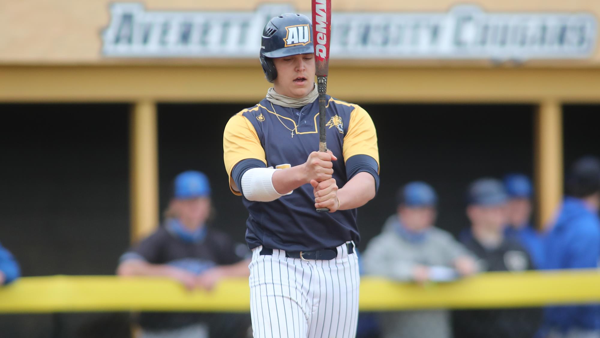 Hudson Rowe - 2024 - Baseball - Averett University Athletics