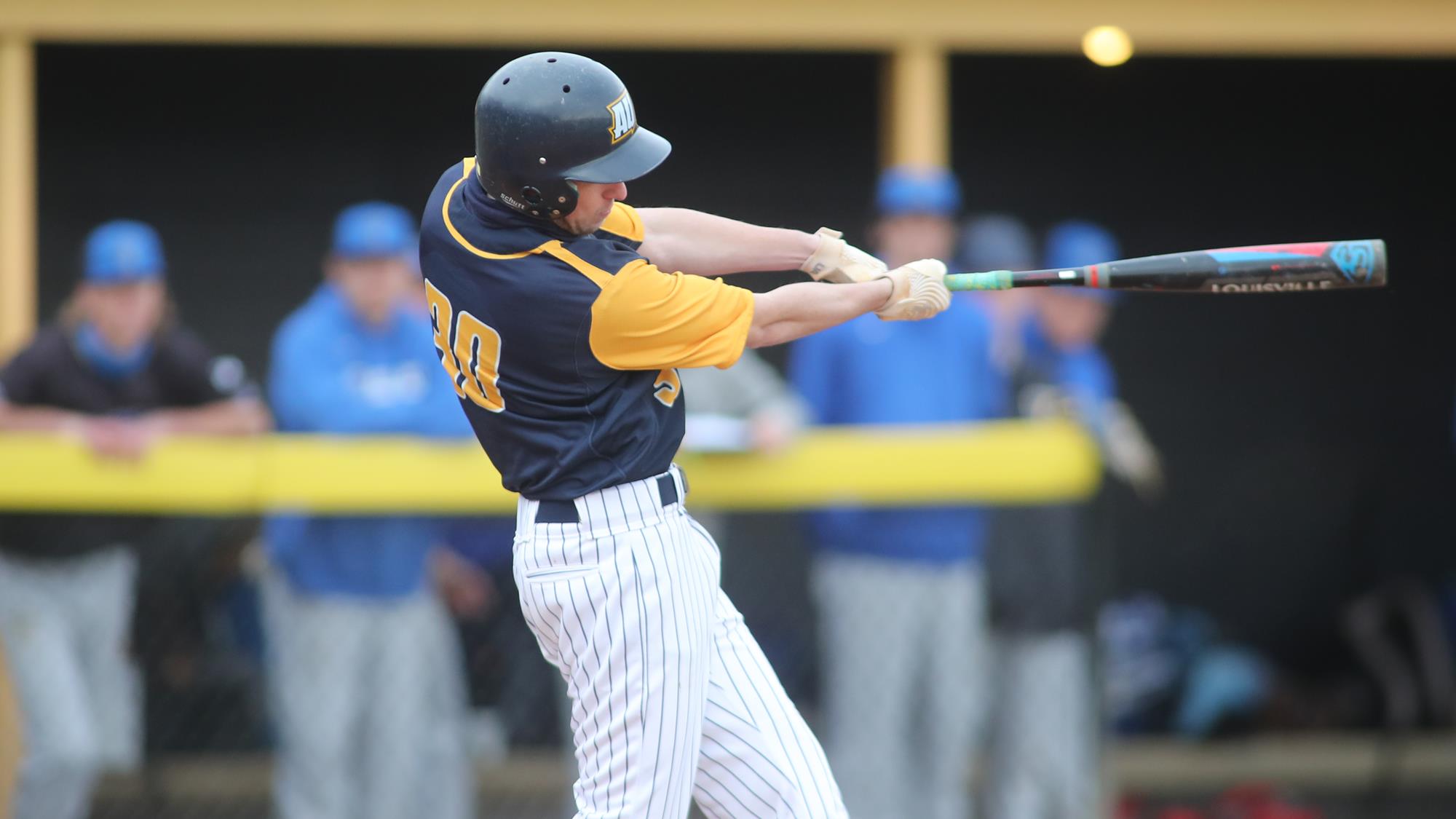 Logan Albertson - 2024 - Baseball - Averett University Athletics