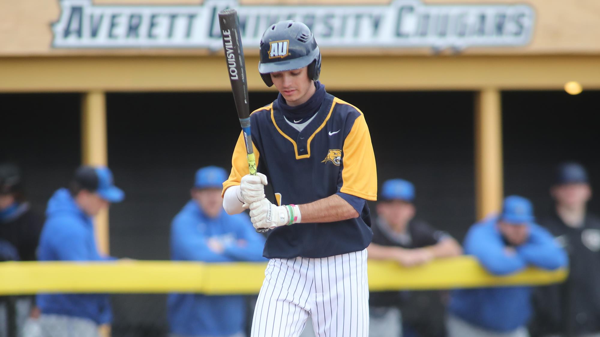 Maccabe, baseball tie stolen base records in conference win over Mary ...