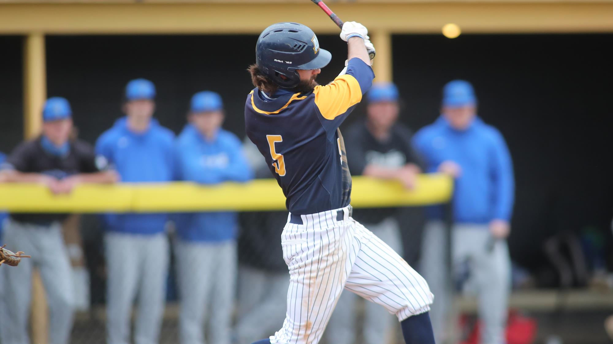 Ryan Traylor - 2021 - Baseball - Averett University Athletics