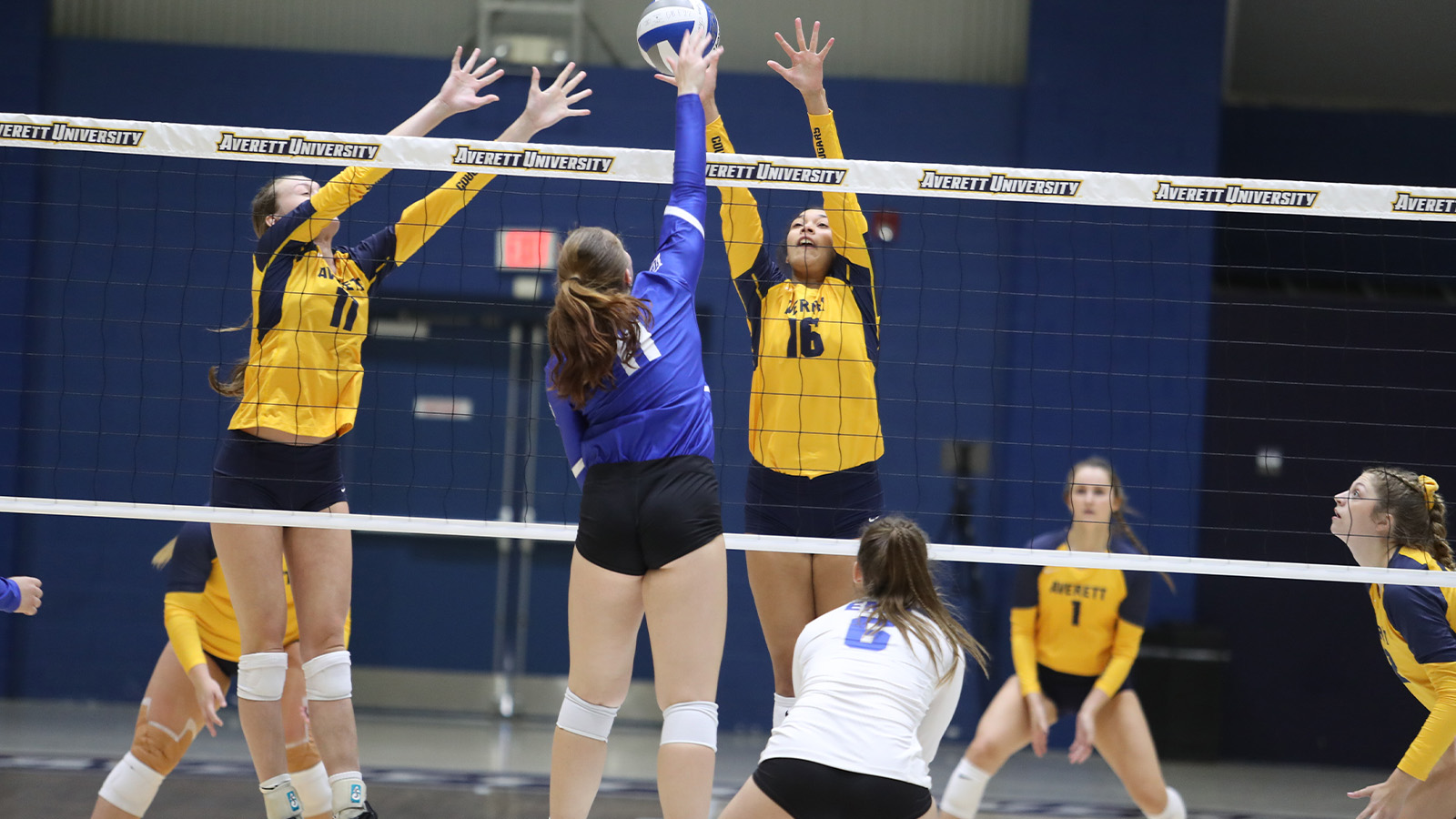Volleyball sweeps Eastern Mennonite on Saturday afternoon - Averett ...