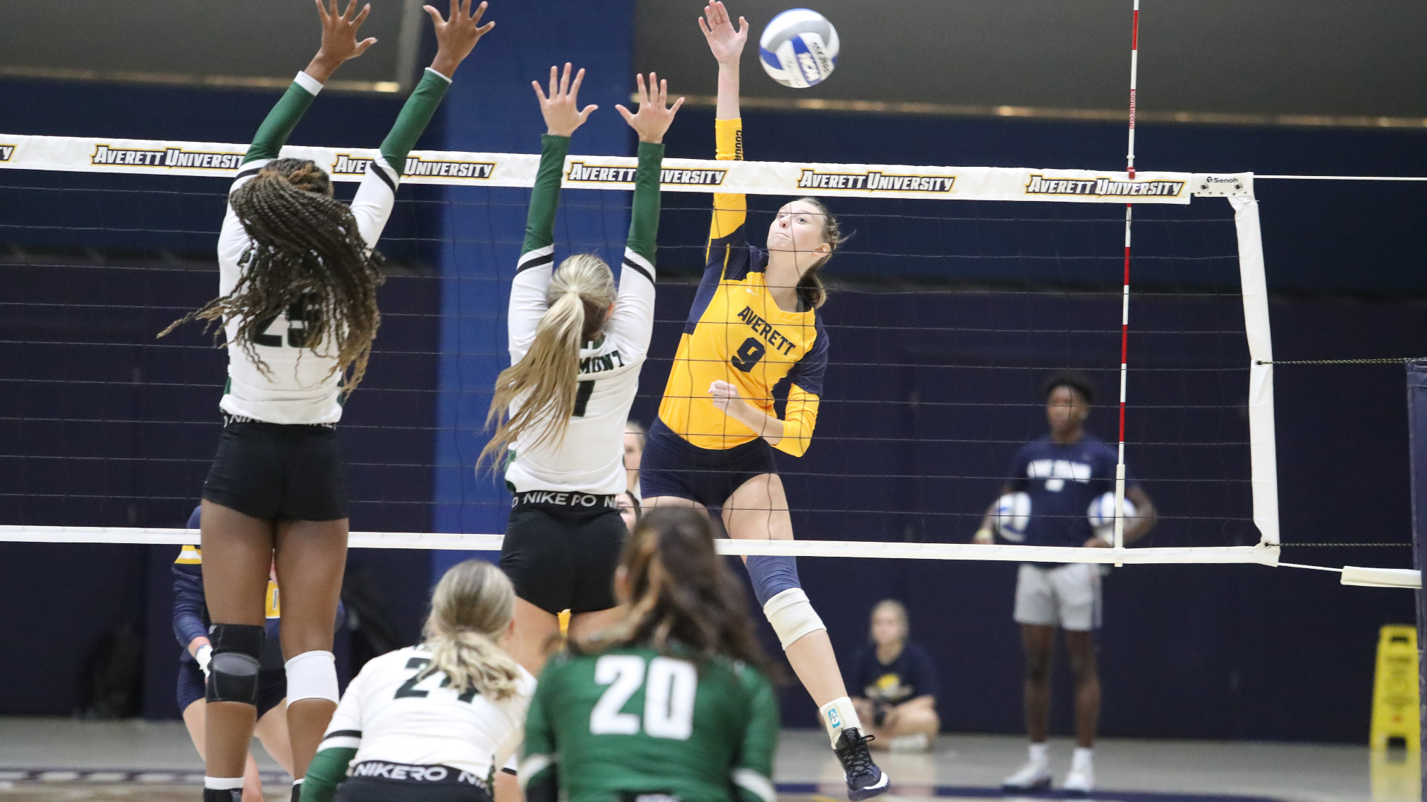 Jessica Beam - 2022 - Women's Volleyball - Averett University Athletics