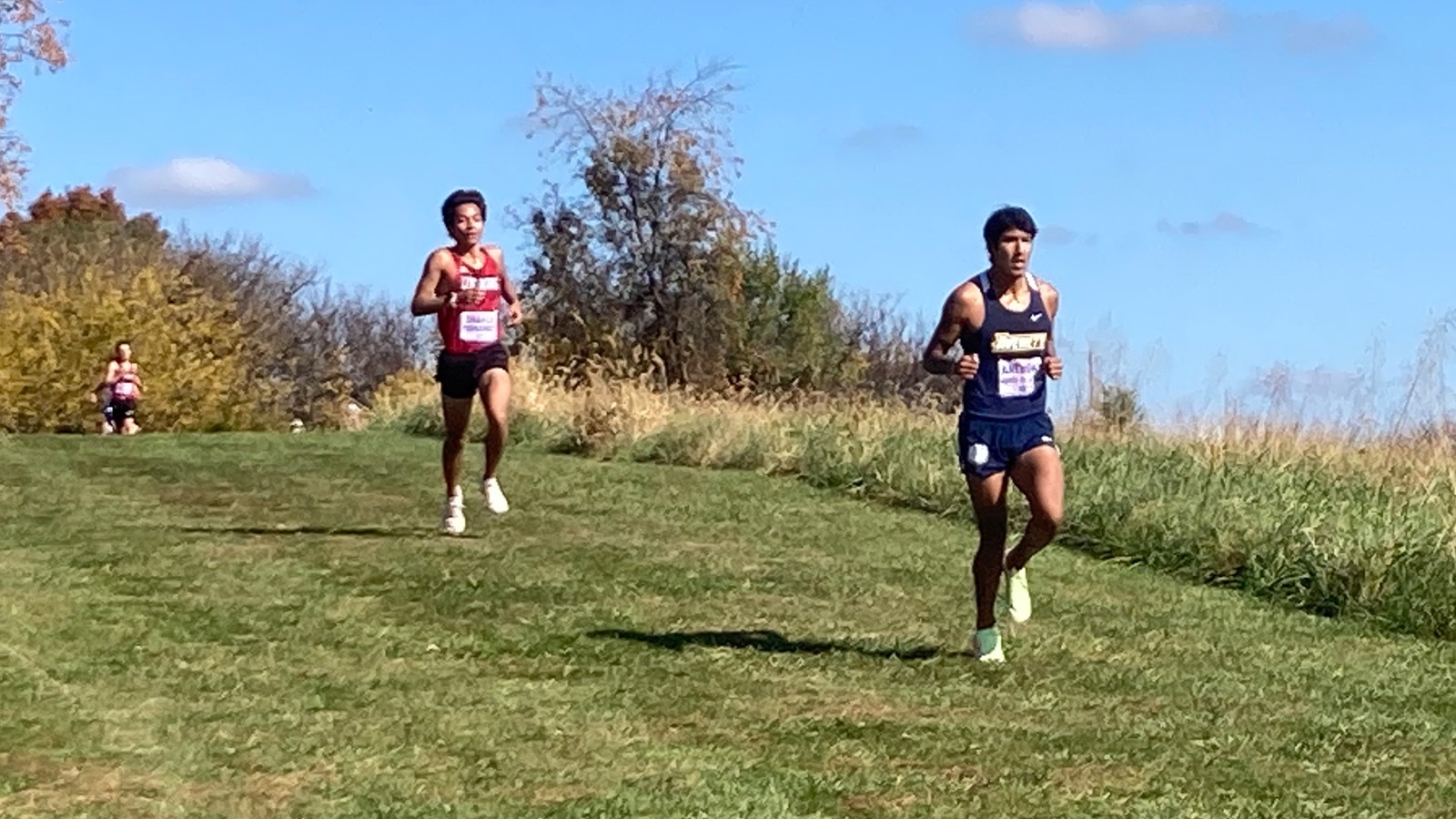 Anthony Ponce-Mexicano - 2023 - Cross Country - Averett University ...