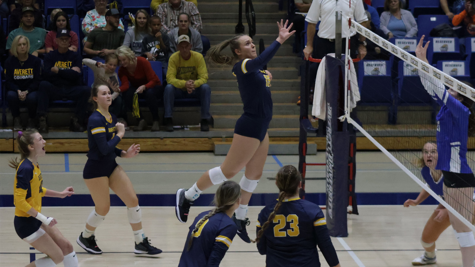 Morgan Barnes - 2022 - Women's Volleyball - Averett University Athletics