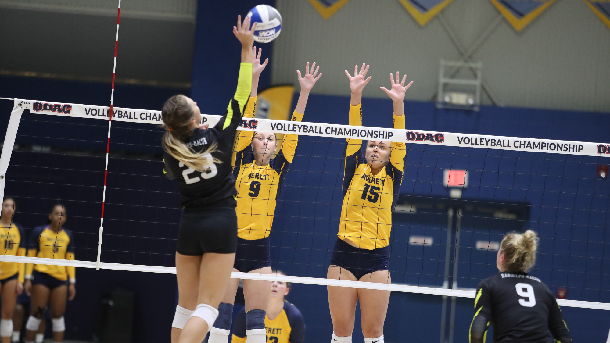 Morgan Barnes - 2022 - Women's Volleyball - Averett University Athletics