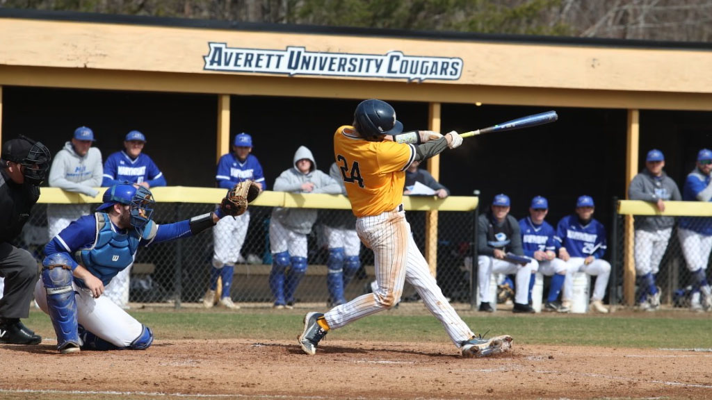 Avery Spicer - 2022 - Baseball - Averett University Athletics
