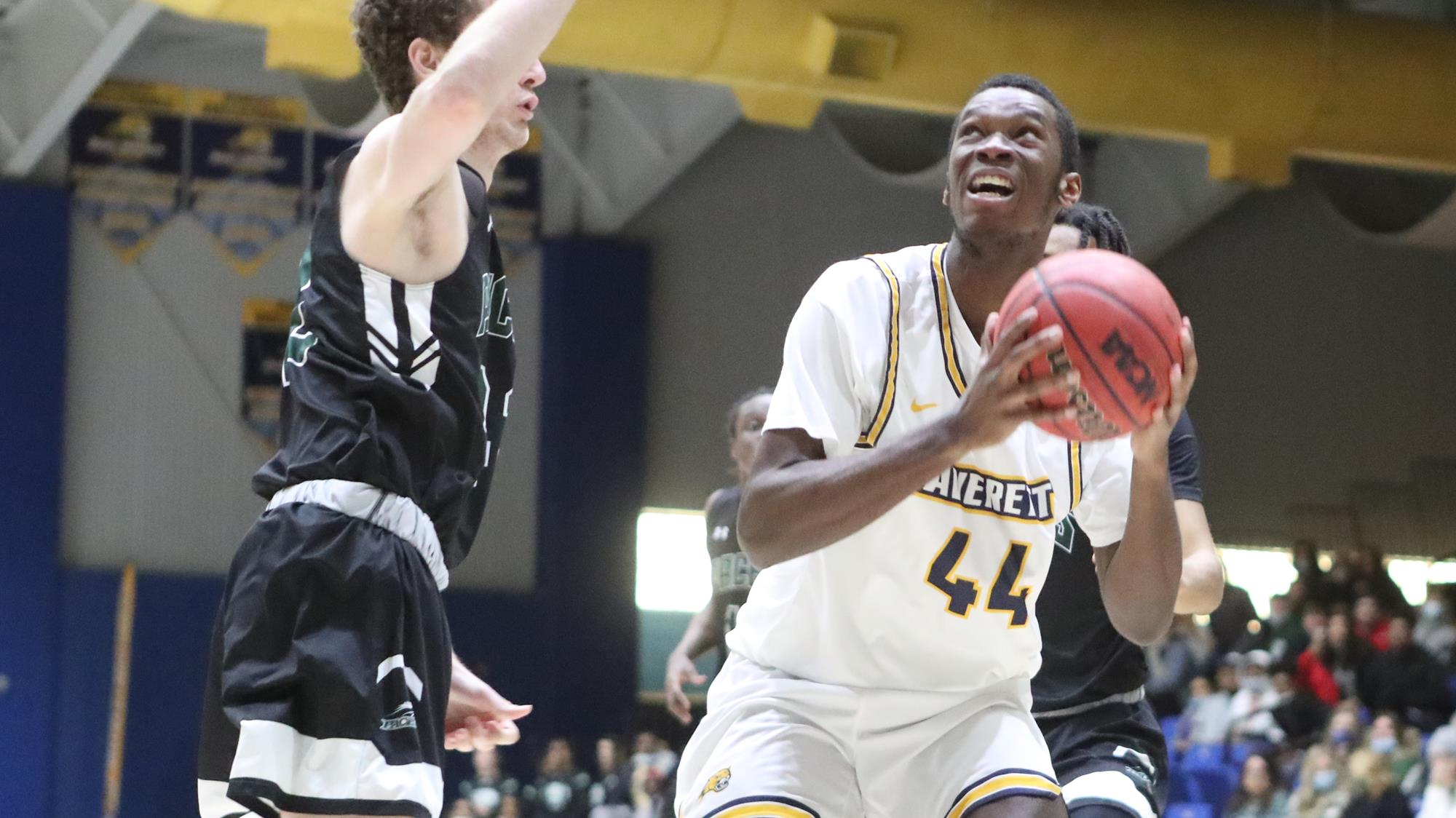 Fermin Borbua-Watson - 2023-24 - Men's Basketball - Averett University ...