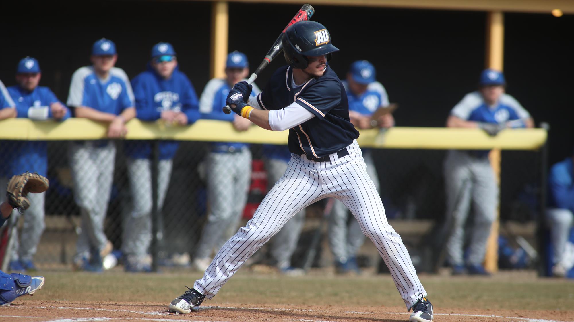 Baseball falls in home finale to William Peace - Averett University ...