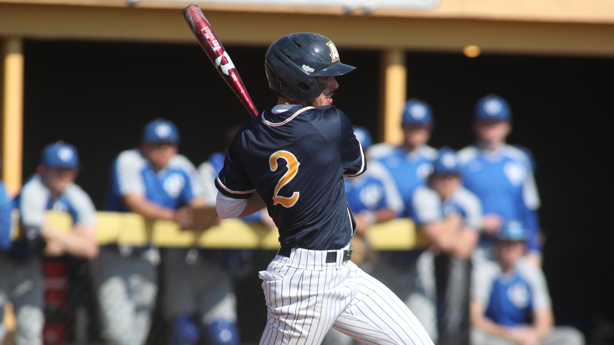 Brandon Hatcher - 2022 - Baseball - Averett University Athletics