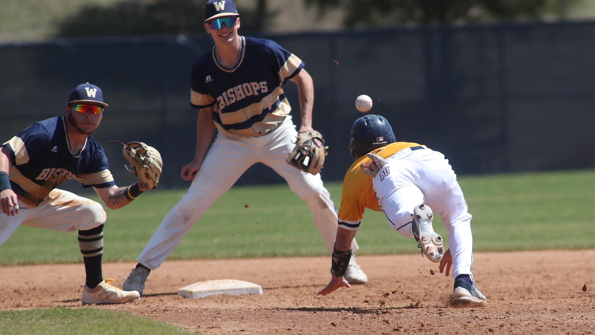 Brandt Brophy - 2024 - Baseball - Averett University Athletics