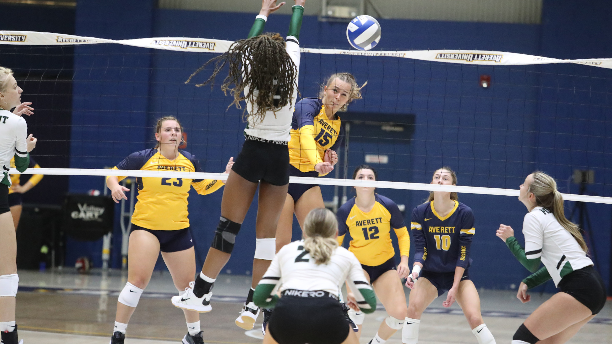 Morgan Barnes - 2022 - Women's Volleyball - Averett University Athletics