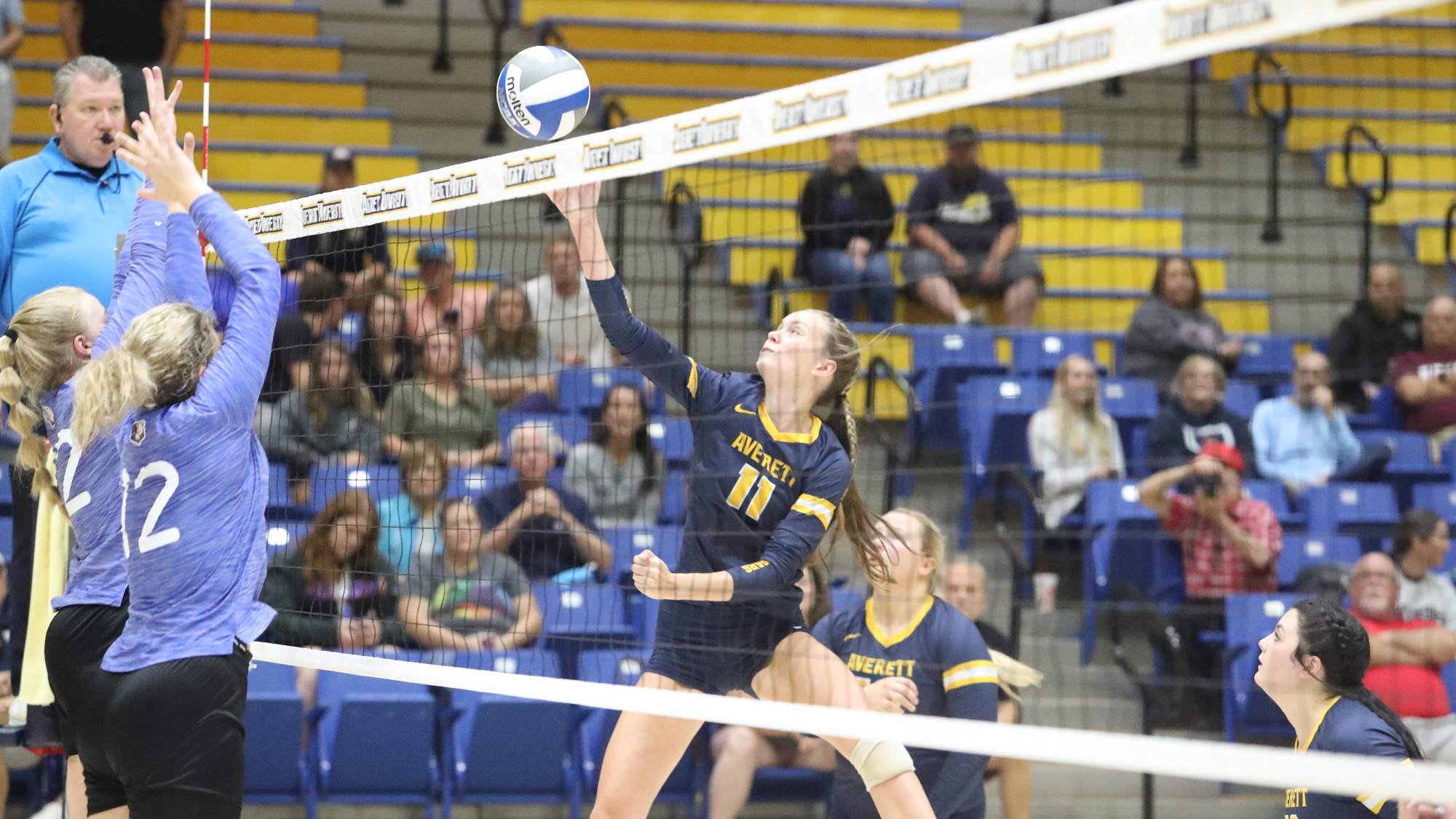 Sarah Marlowe - 2022 - Women's Volleyball - Averett University Athletics