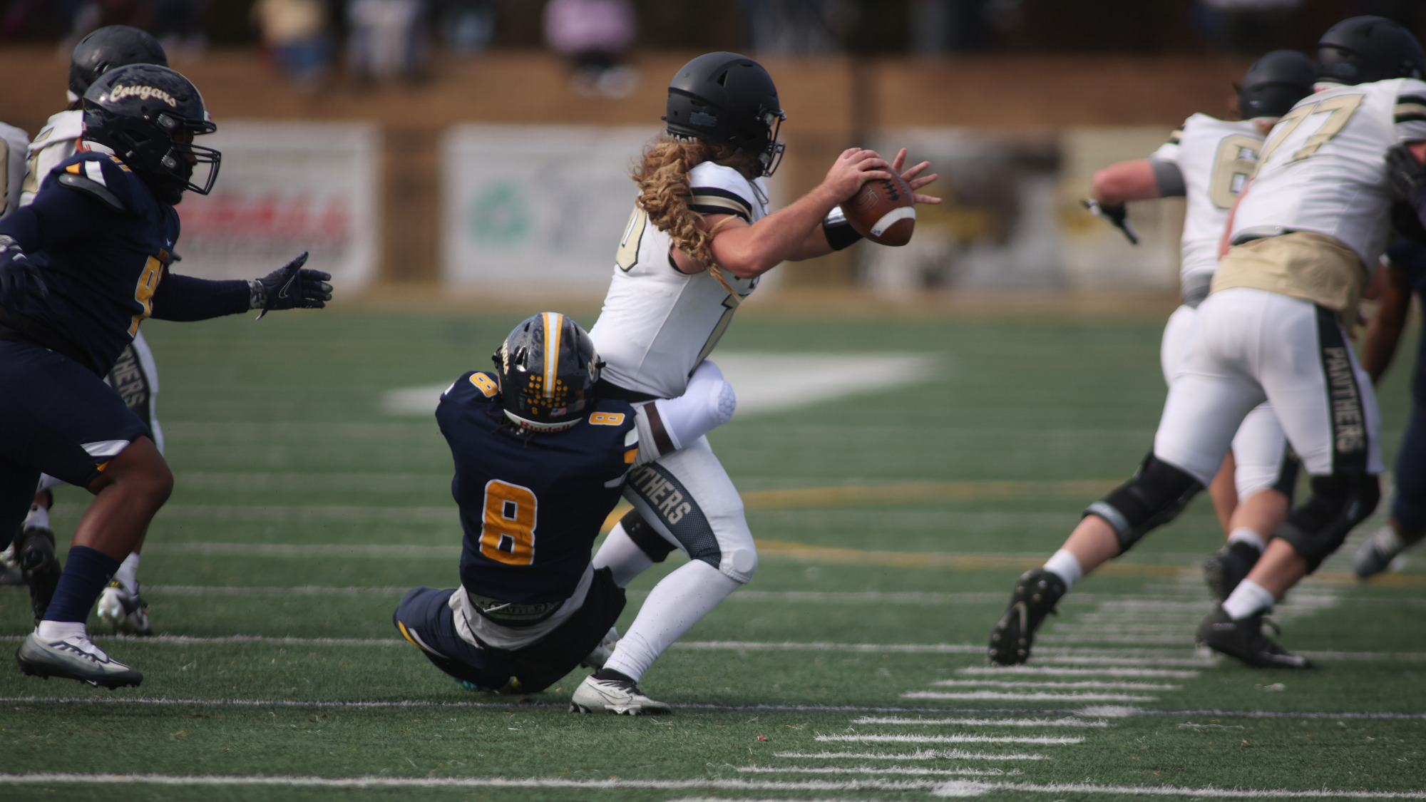 Football celebrates Senior Day with big win over rival Ferrum to end ...