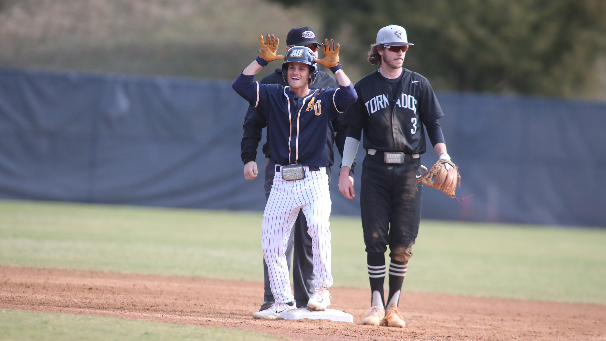 Brandt Brophy - 2024 - Baseball - Averett University Athletics