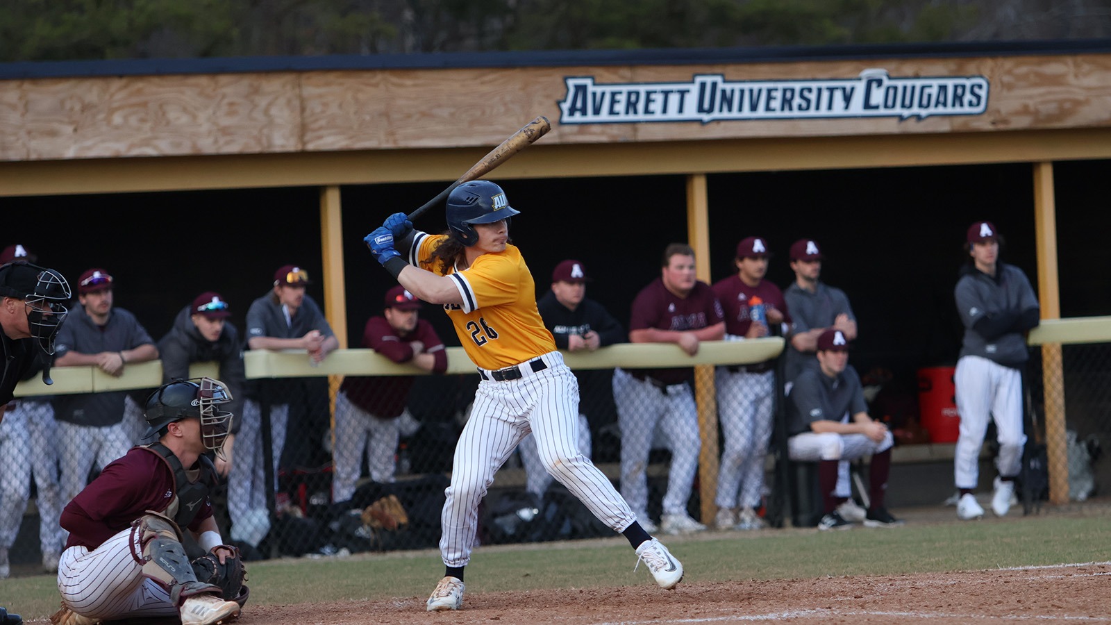 Chase Davis - 2023 - Baseball - Averett University Athletics