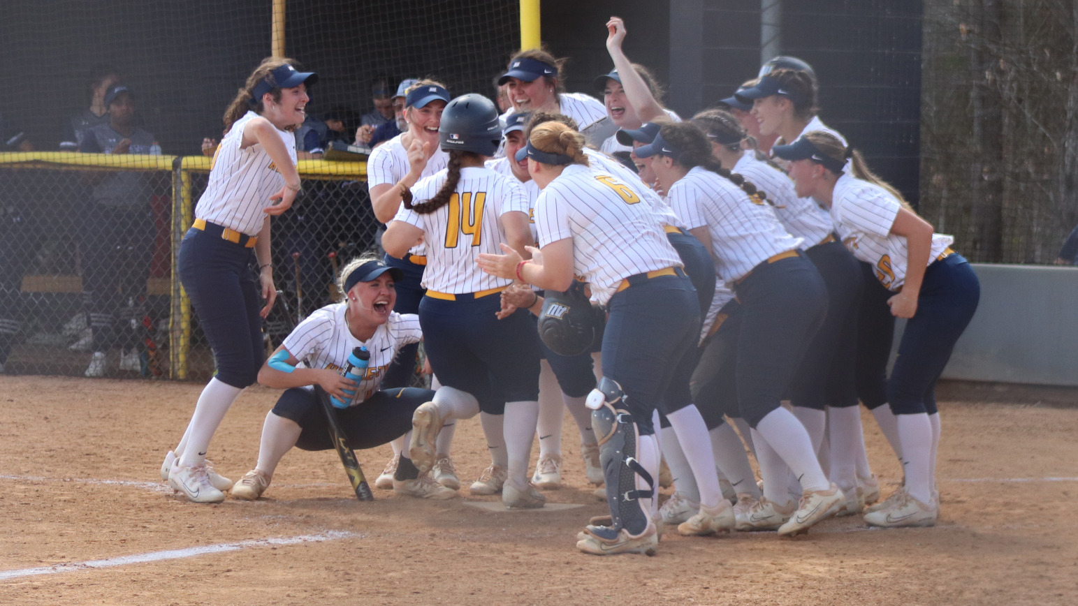 Lauren Nelson - 2023 - Softball - Averett University Athletics