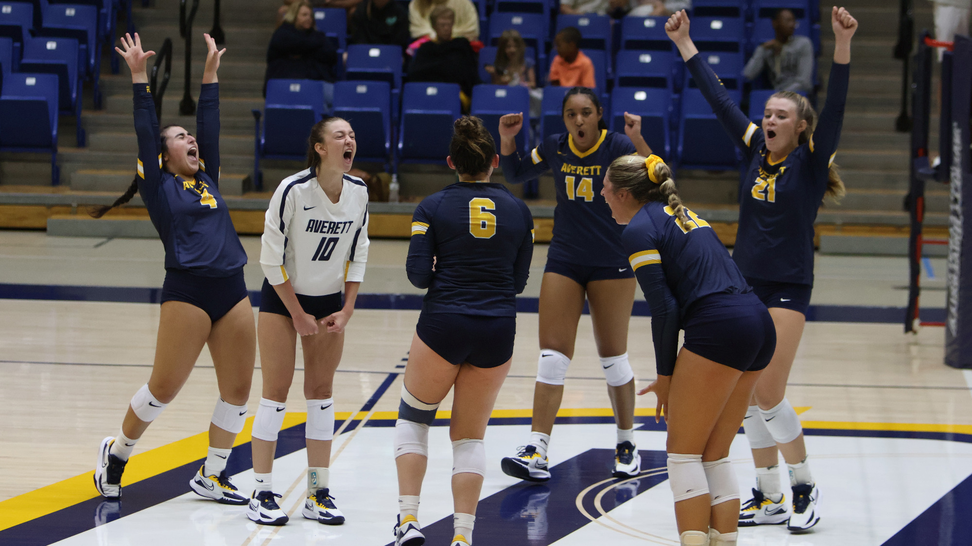 FOLLOW LIVE: Volleyball hosts Shenandoah at 6 p.m. Friday - Averett ...
