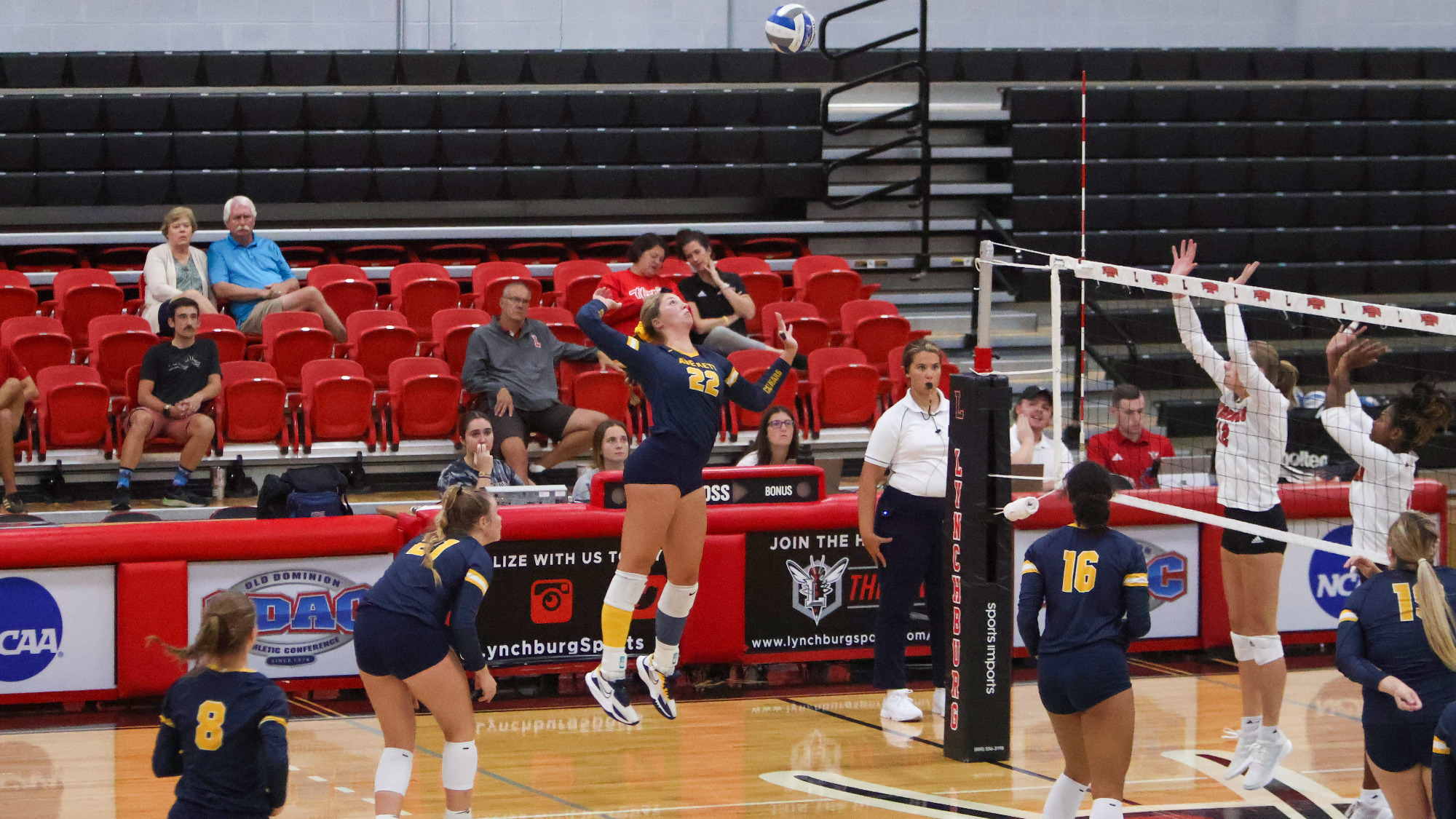 Women's volleyball stays unbeaten in ODAC play, picks up seventh ...