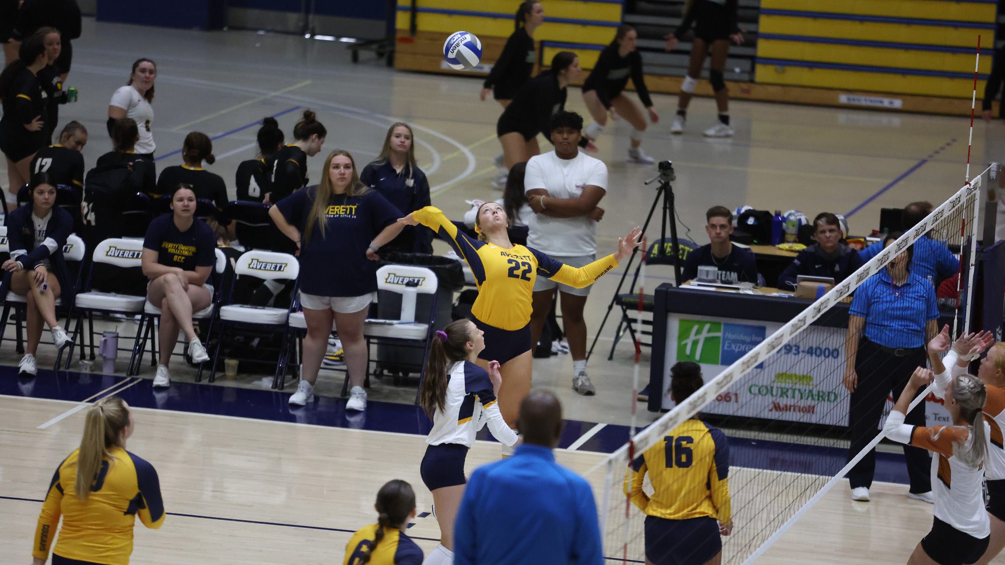 Emma Nash - 2024 - Women's Volleyball - Averett University Athletics