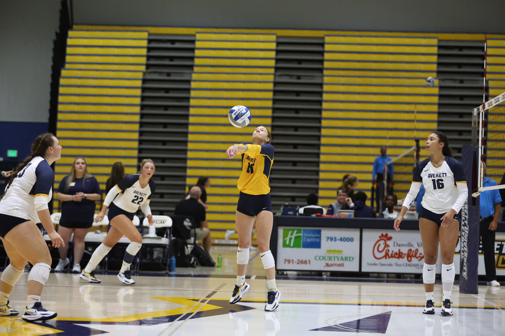 Women's volleyball rolls past Shenandoah - Averett University Athletics