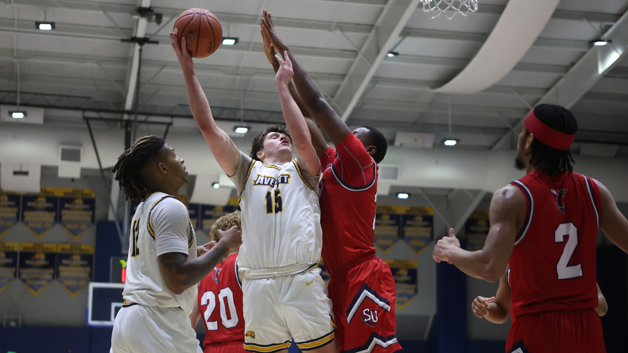 Colton Price - 2024-25 - Men's Basketball - Averett University Athletics