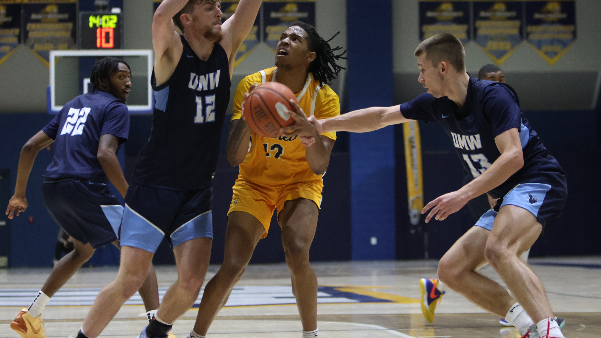 Men's basketball falls to Lynchburg thanks to Hornets' late run ...