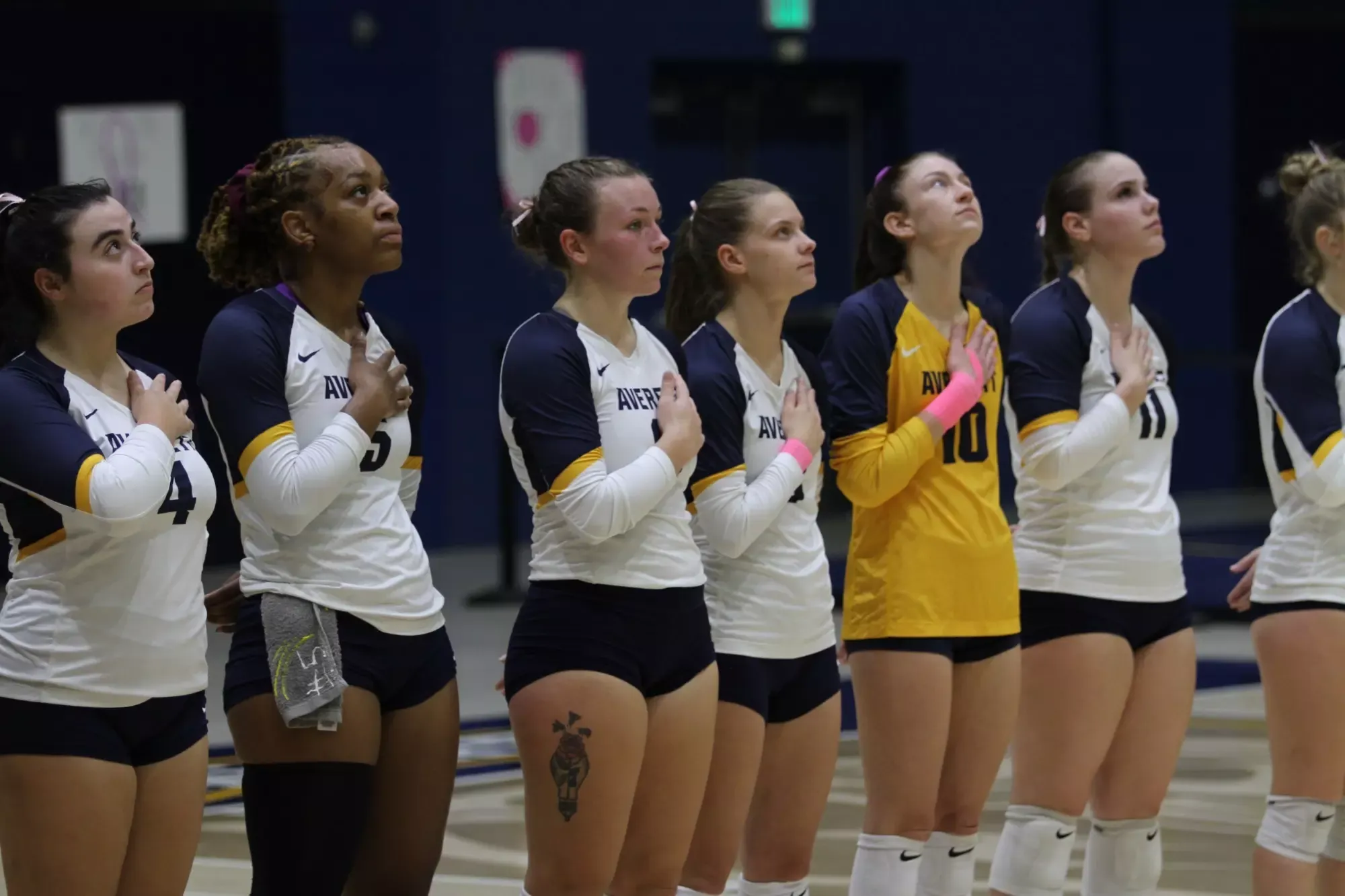 Women's volleyball's Gray, Nash net All-ODAC accolades - Averett ...