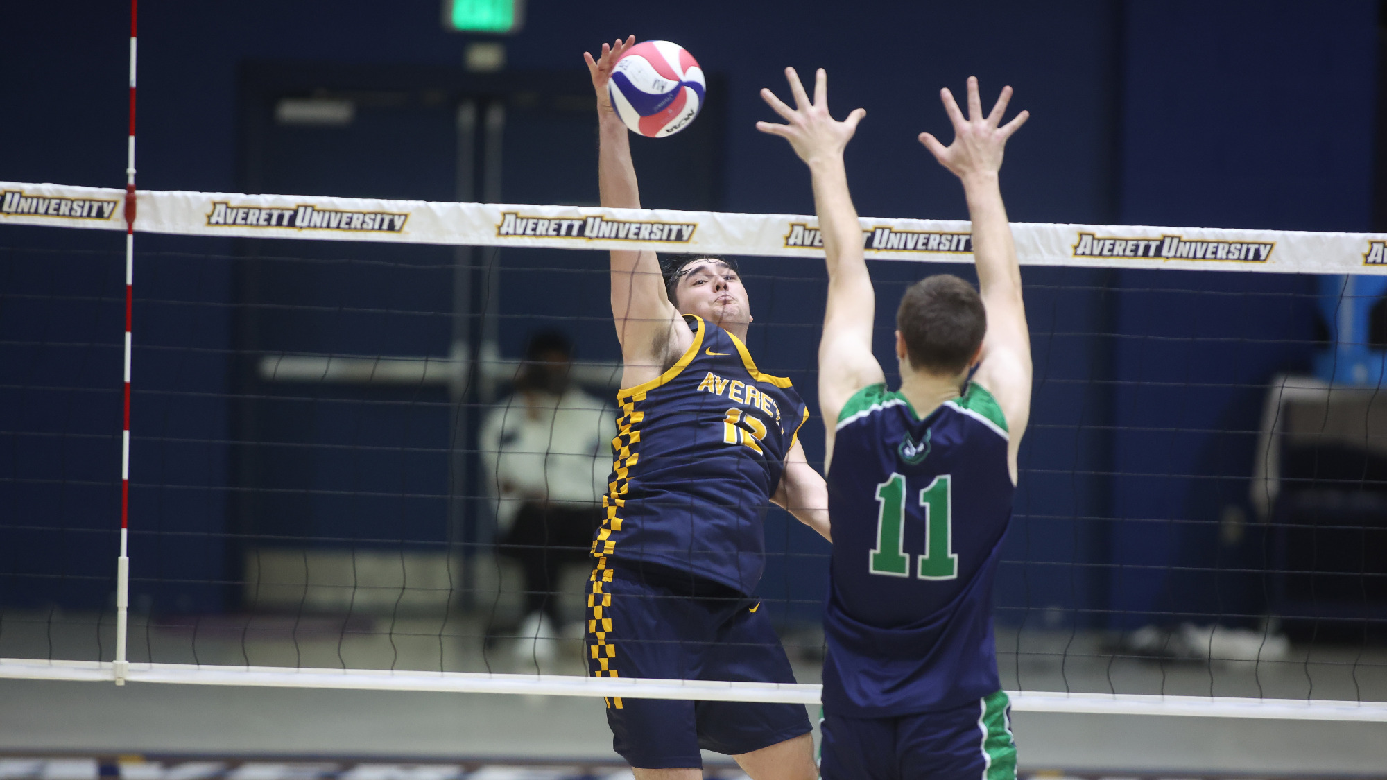 Daniel Cancro - 2024 - Men's Volleyball - Averett University Athletics