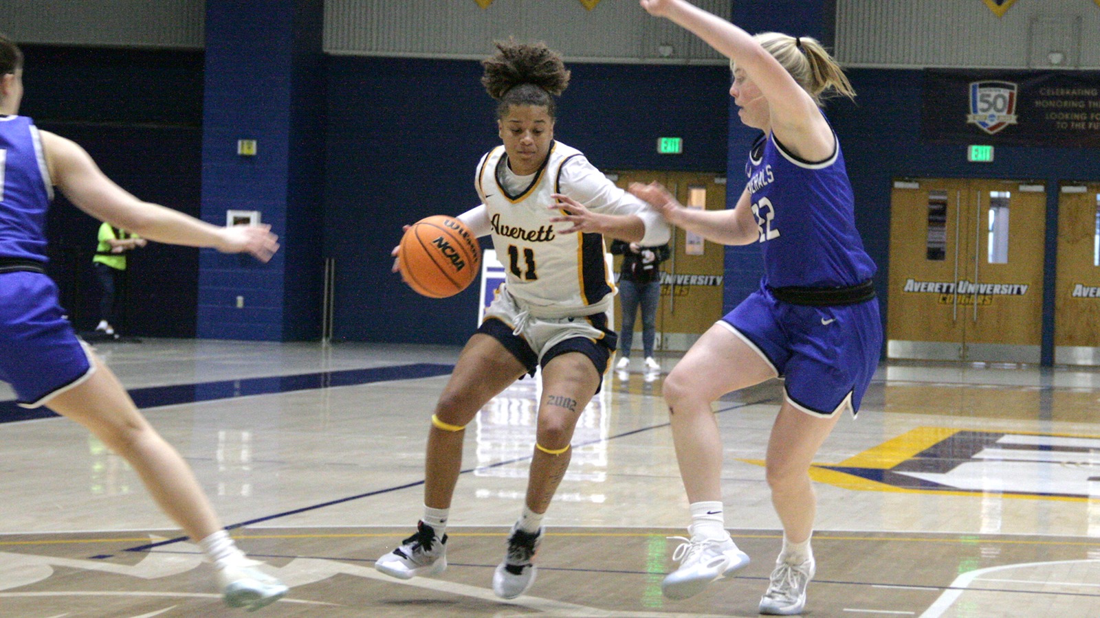 Averett promotes Krotish to head coach of women's basketball as Driver ...