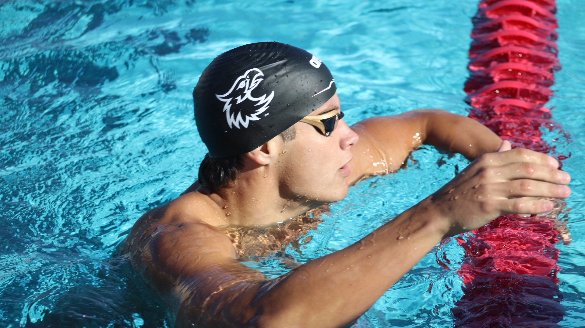 Men’s Swim Team Sets Seven Program Records at PCSC Meet - Arizona ...