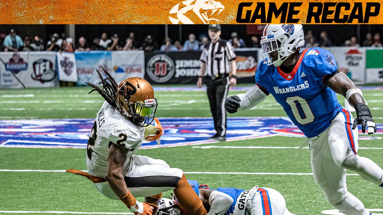 Rattlers Partner with Arizona 61 Arizona to Broadcast 2025 Home Games ...