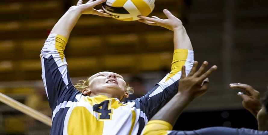 Brooke Beasley - 2014 - Women's Volleyball - Alabama State University ...