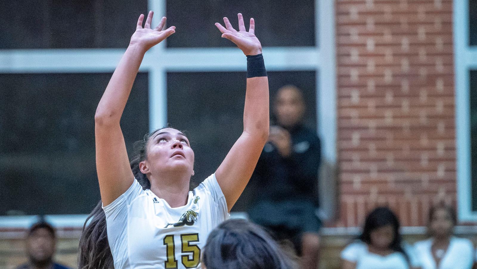 Alabama State drops pair in Saluki Bash - Alabama State University ...