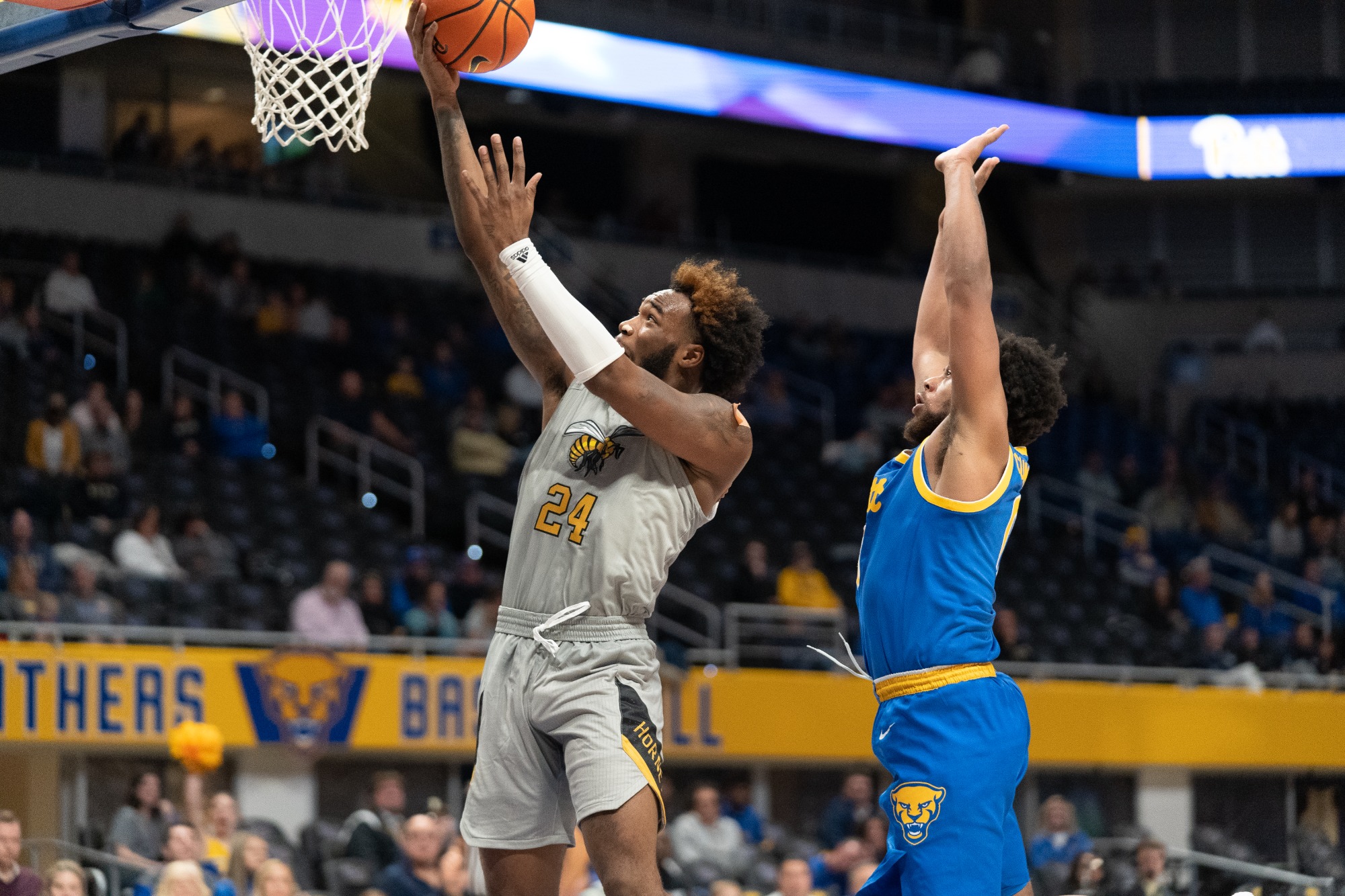 Isaiah Range - 2023-24 - Men's Basketball - Alabama State University ...