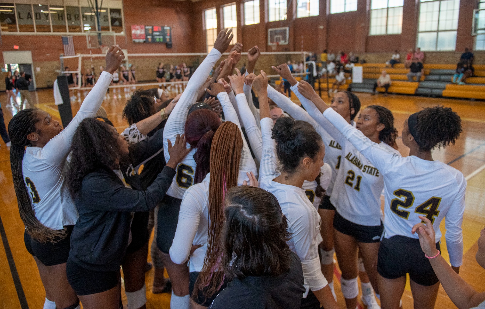 Hornets Volleyball Suffers First Conference Loss at the Hands of FAMU ...
