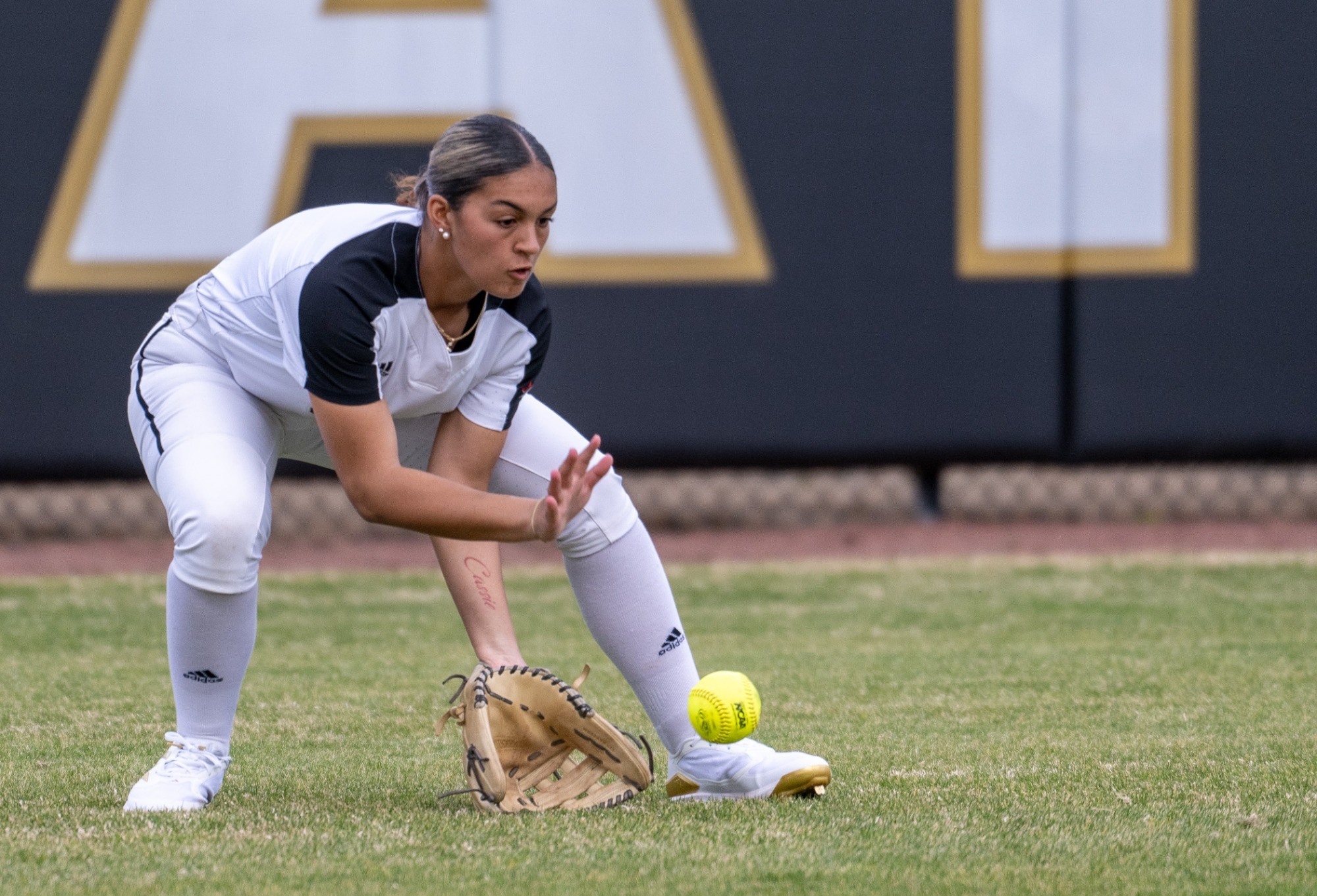 Lady Hornets split a pair of games on opening day of HBCU Collegiate ...