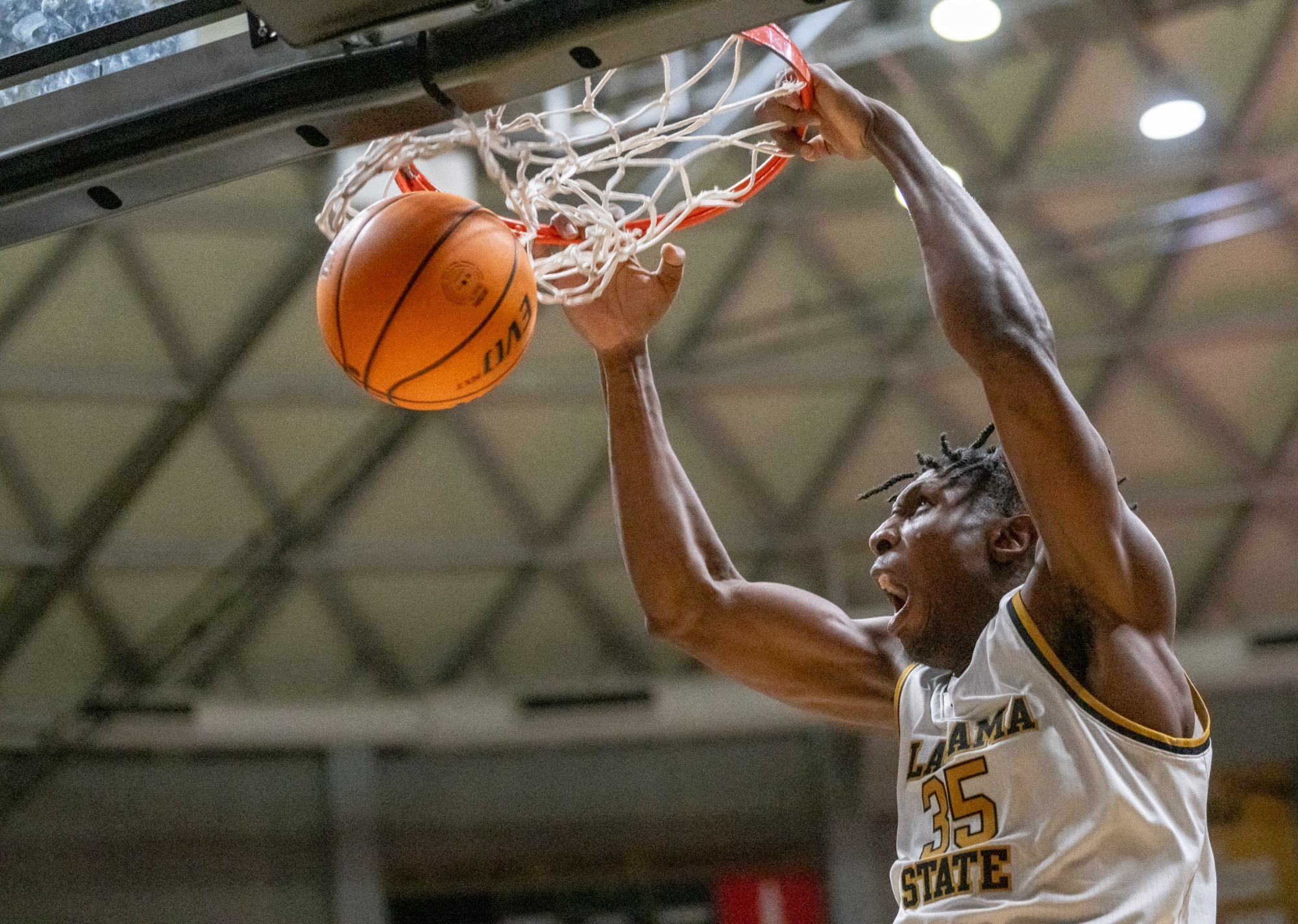 TJ Madlock and Amarr Knox combine for 36 points to lead Alabama State ...