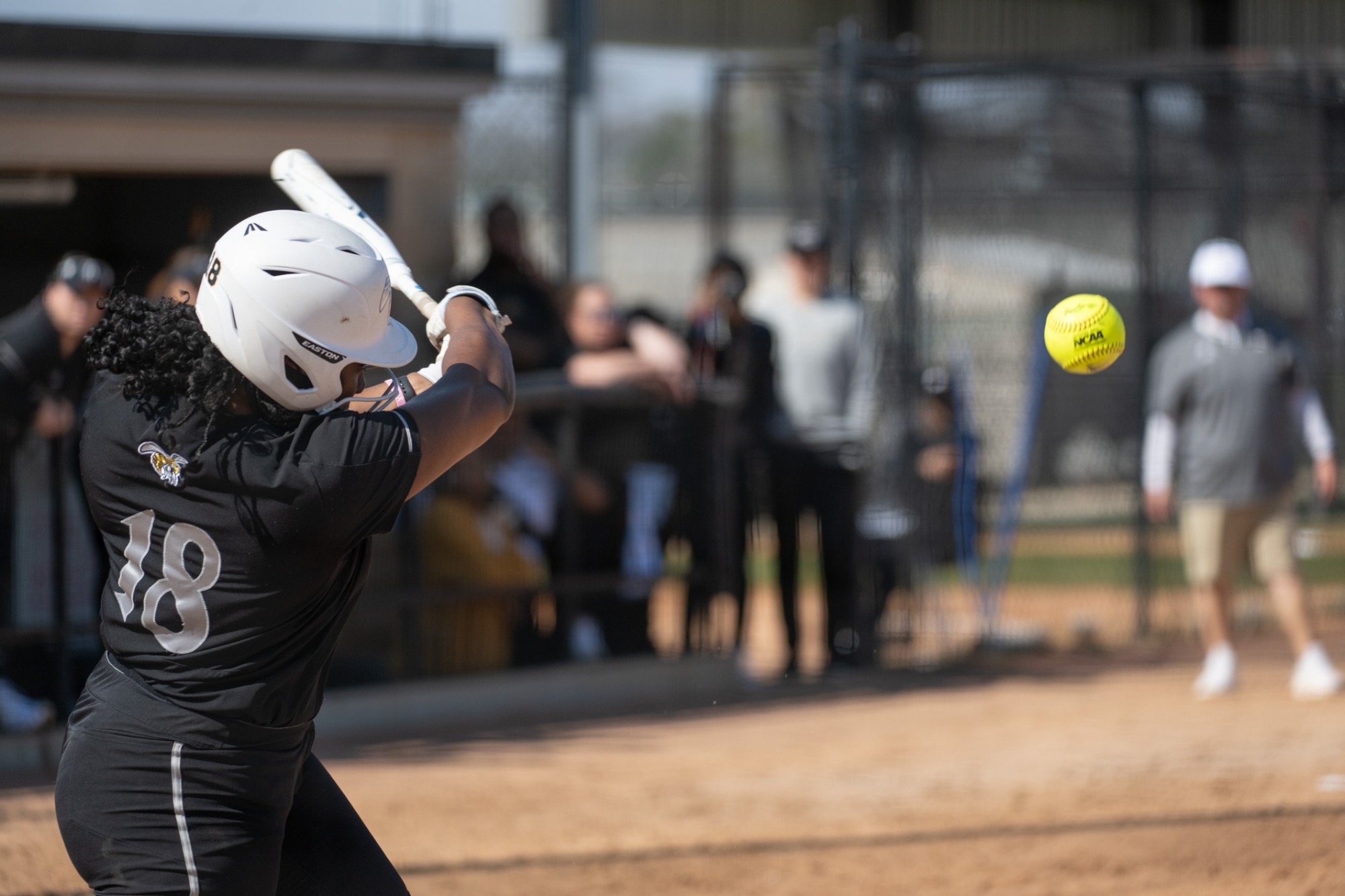 Lady Hornets host Samford at the Barbara Williams Softball Complex on ...