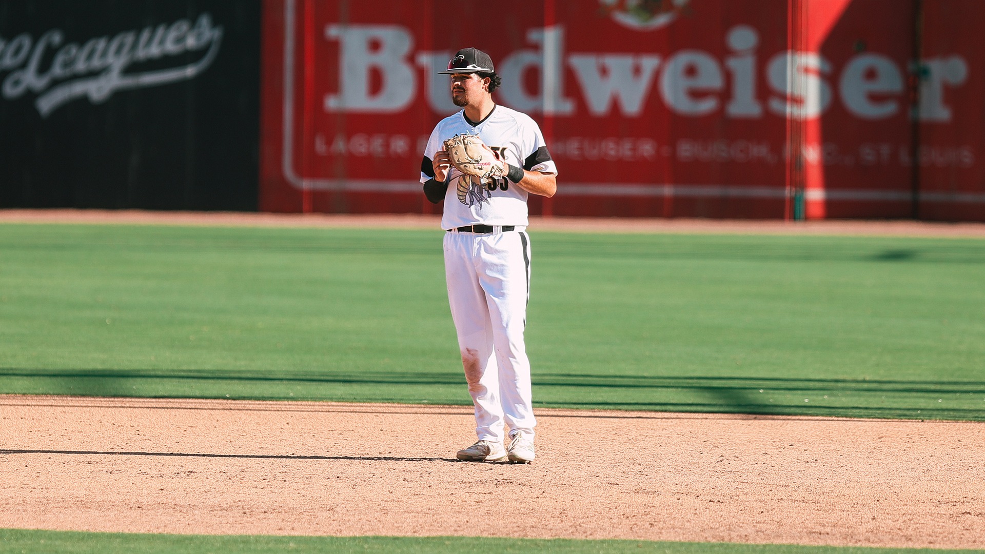 Alabama State Announces 2025 Baseball Schedule - Alabama State ...