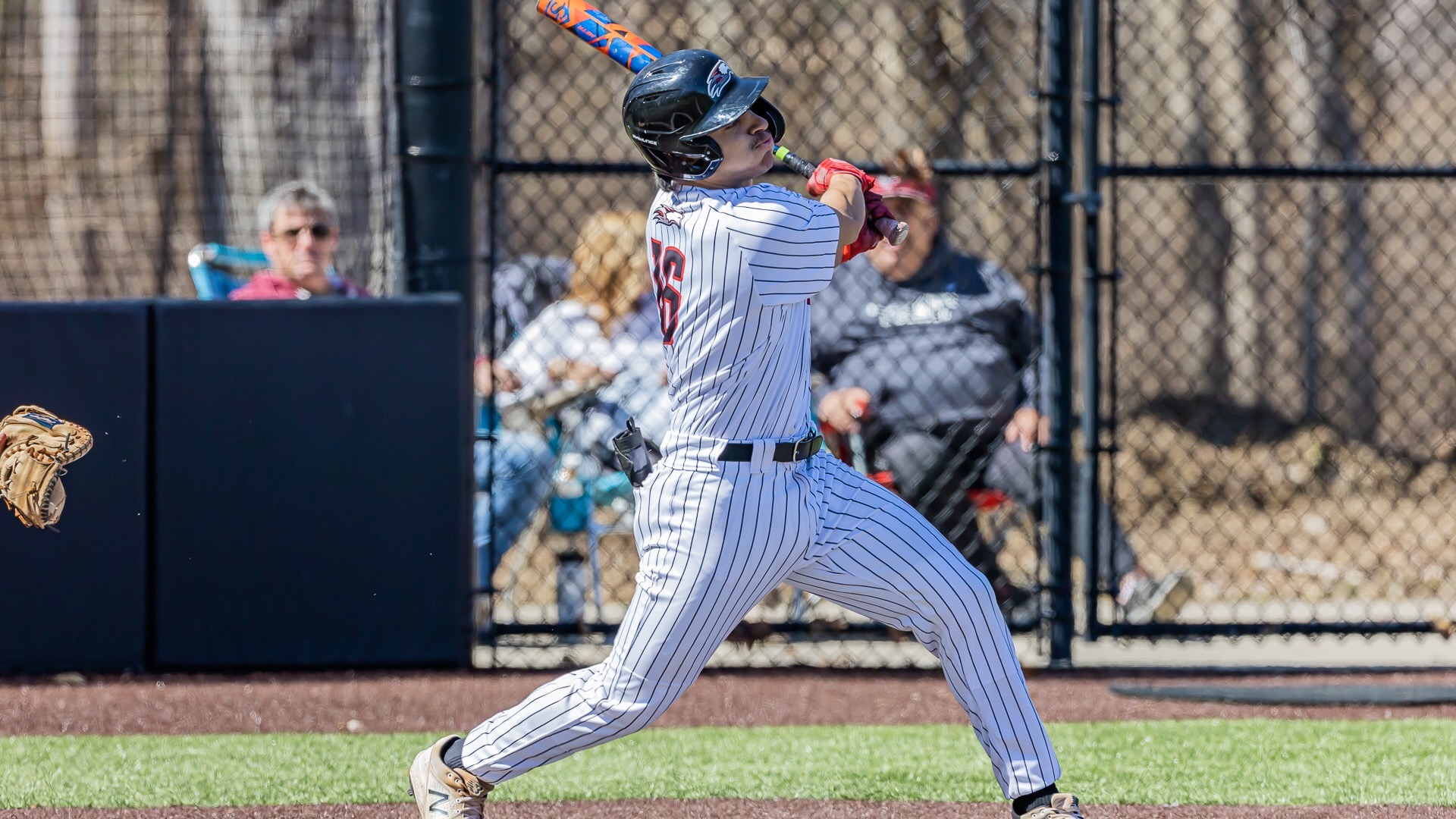 Bard topped by RPI in start of three-game series - Bard College Athletics