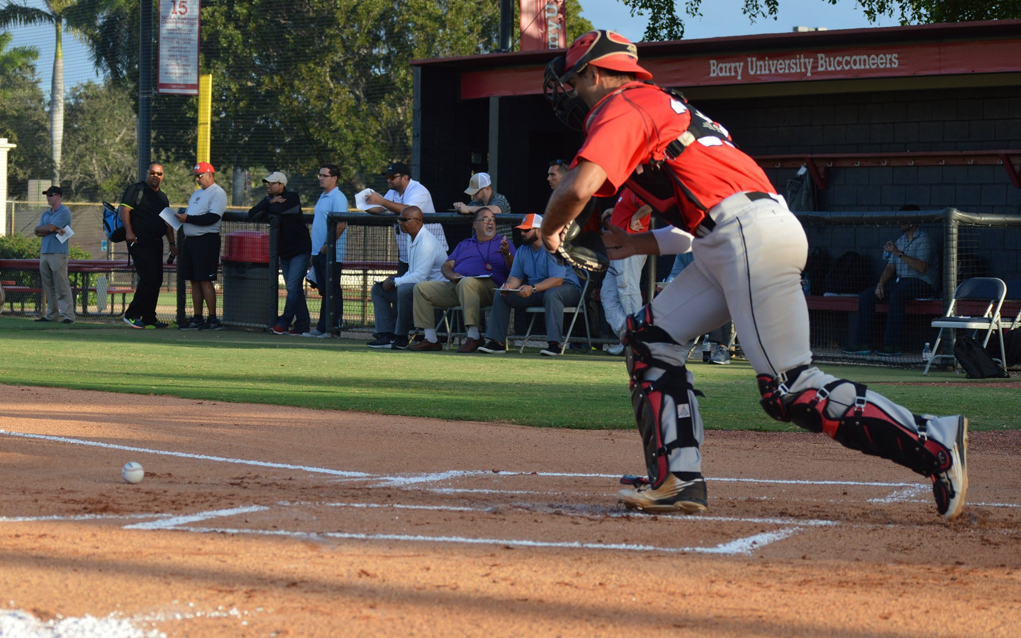 Reuben Pino - Baseball - Barry University Athletics
