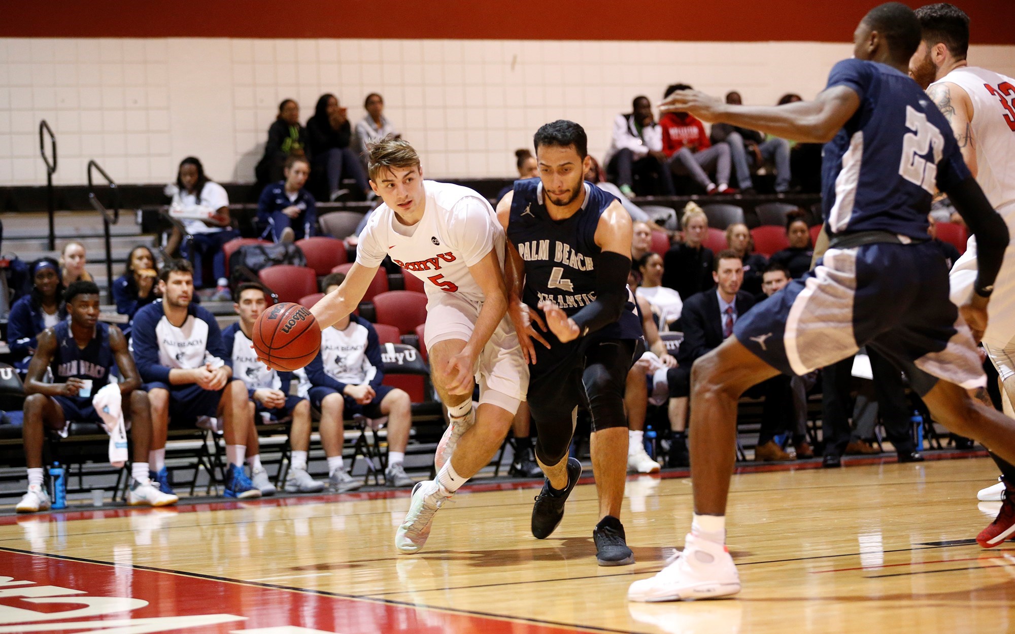 Evan Walshe - Men's Basketball - Barry University Athletics
