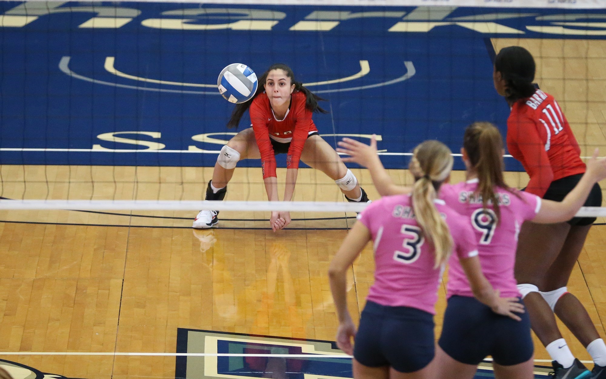 Gabriela Jansen - Women's Volleyball - Barry University Athletics